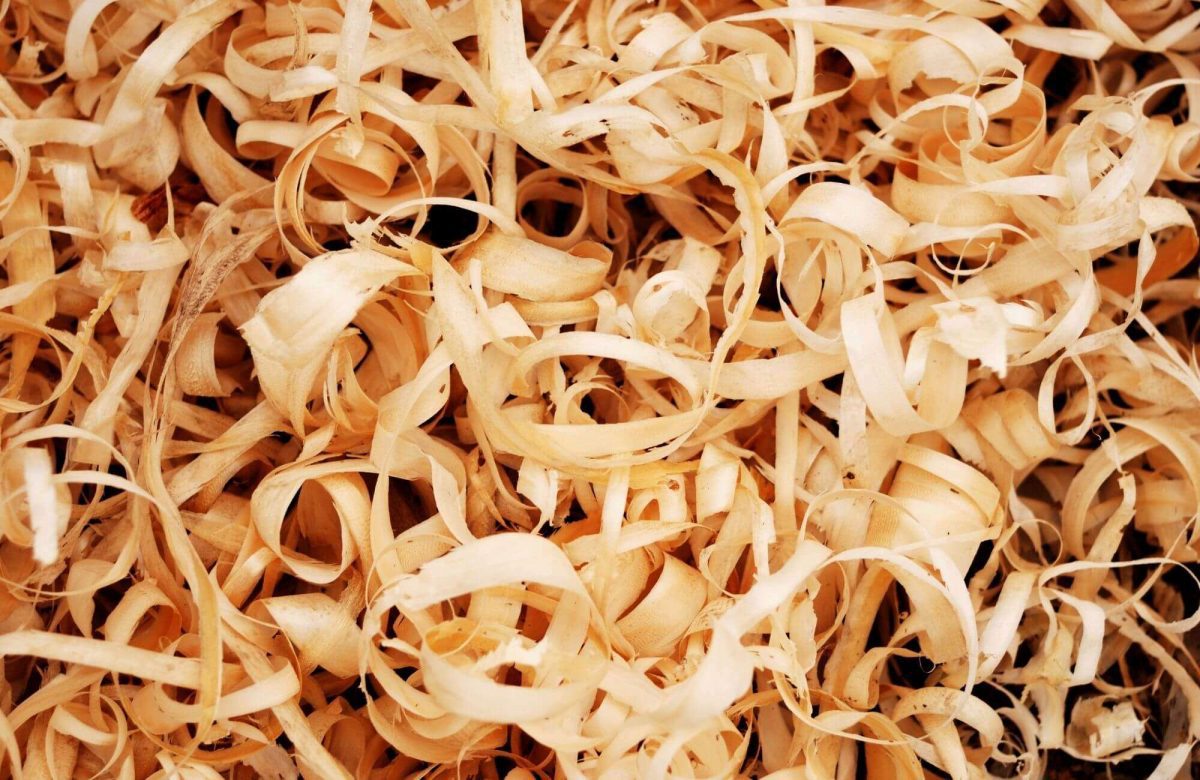 The best kindling for fire building: What works like a charm | Gone ...