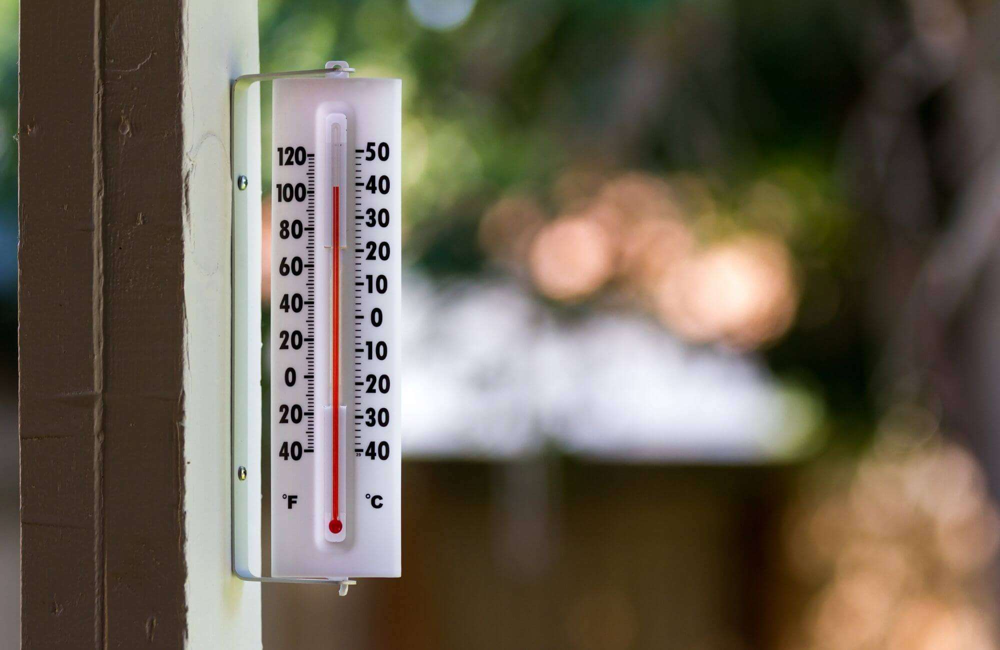 14 Common Camping Injuries and Ailments to Be Aware Of