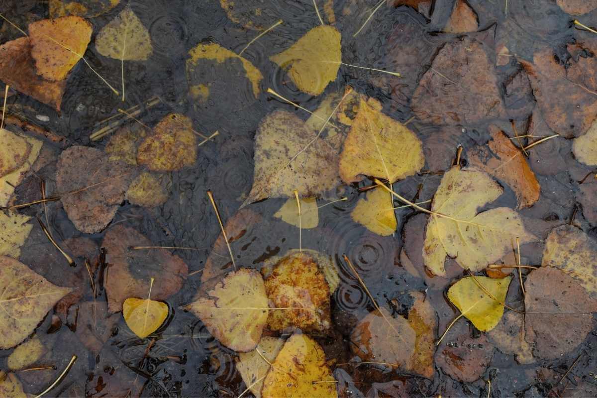 Camping in October: Why it’s great, how to plan, and where to go | Gone ...