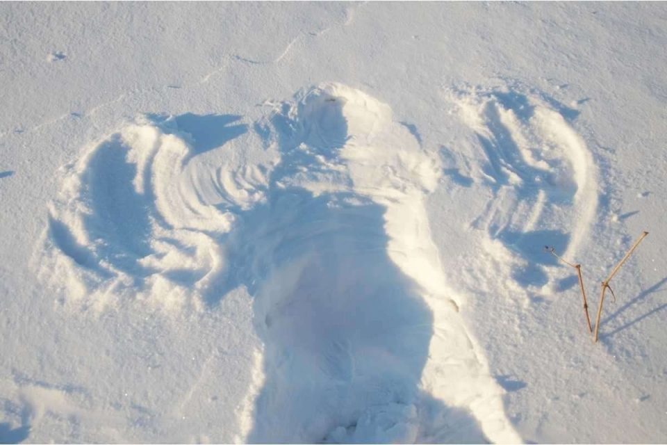 29 winter camping activities and ideas to have fun in the snow | Gone ...