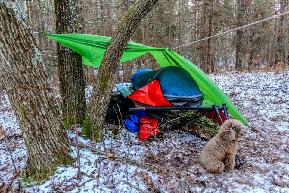 How to camp under a tarp in winter | Gone Camping Again