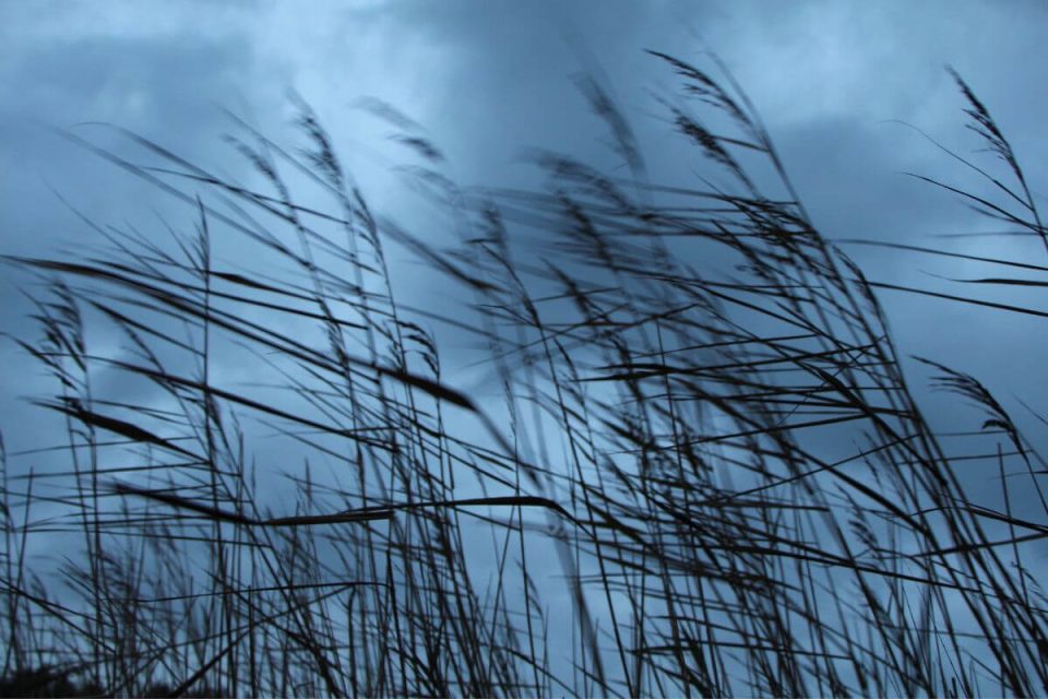 Camping in the wind: Biggest risks and how to do it safely | Gone ...