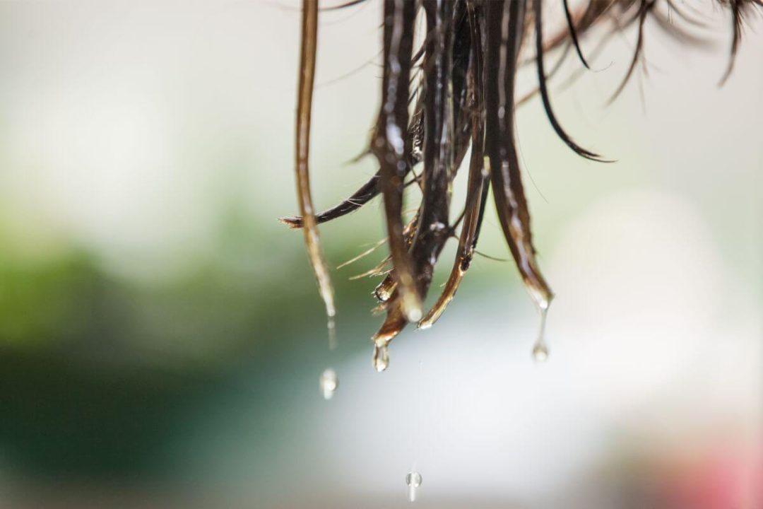 24 camping hair tips to keep your mane looking great | Gone Camping Again